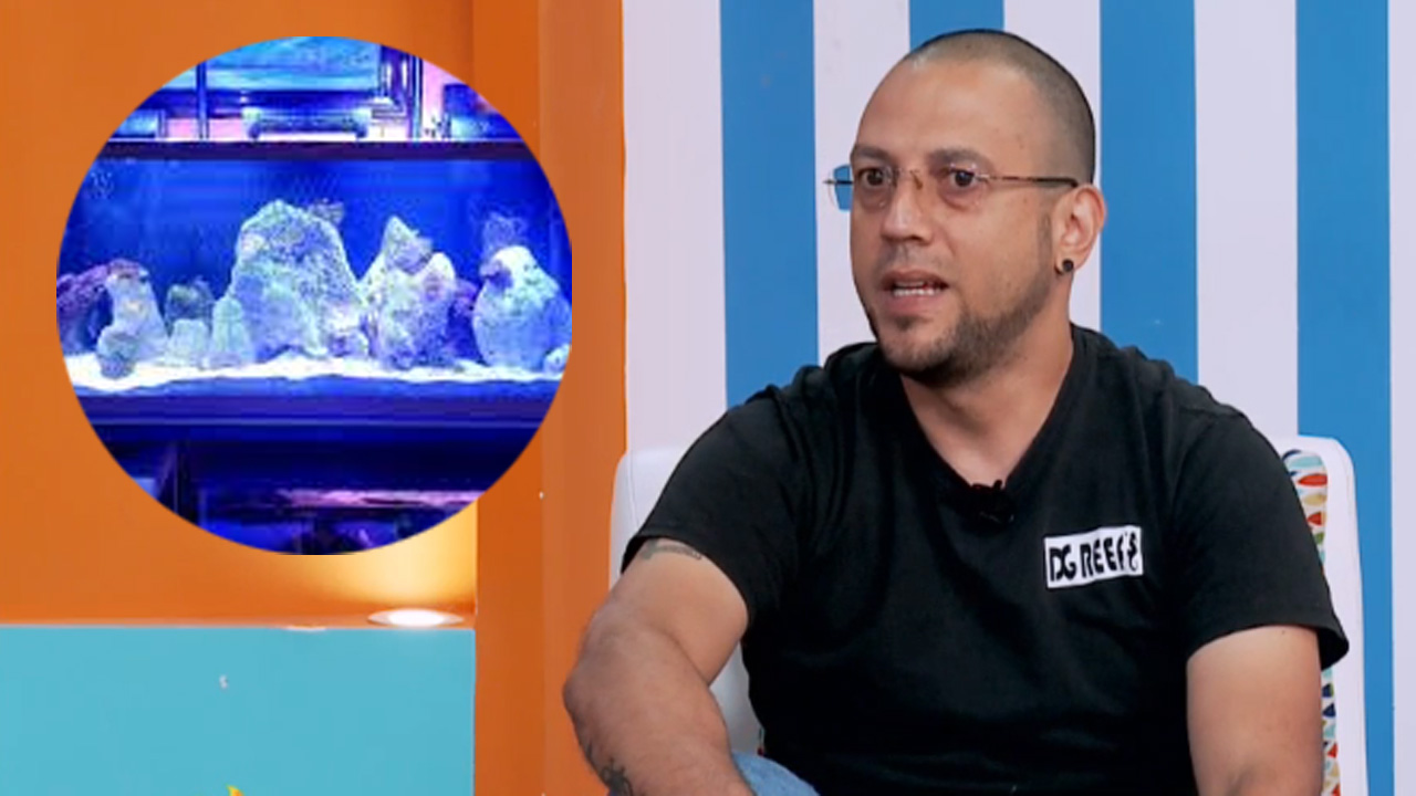 DG Reef's nos muestra sus hermosos acuarios - VTV